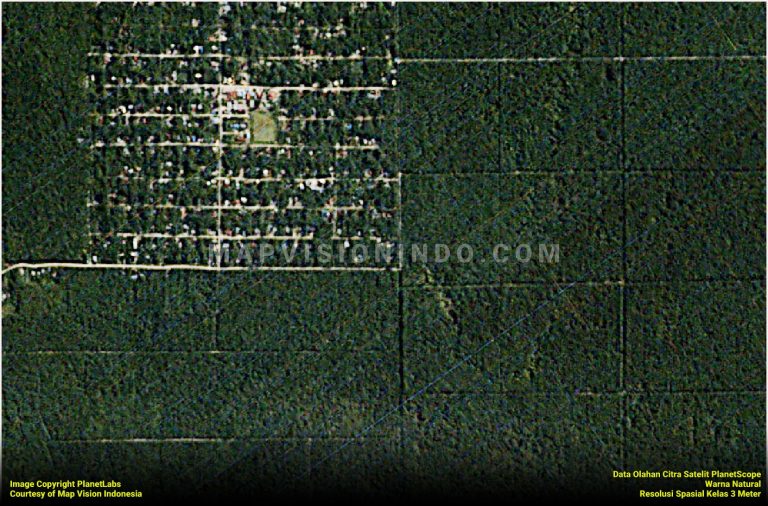 PlanetScope: Citra Satelit dengan Ketersediaan Data yang Lengkap - Map ...