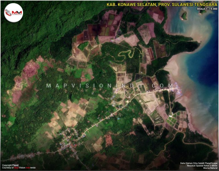 PlanetScope: Citra Satelit dengan Ketersediaan Data yang Lengkap - Map Vision Indonesia