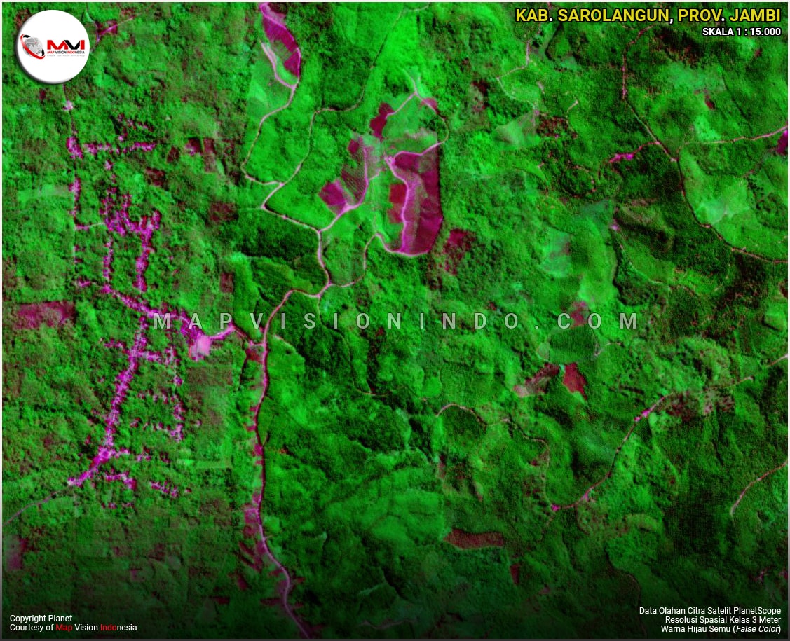 PlanetScope (3 meter) - Map Vision Indonesia