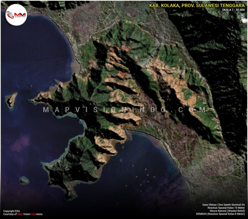 Sentinel-2 - Map Vision Indonesia